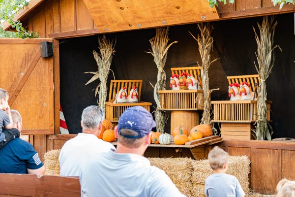 Chicken Show - The Fun Factory Amusement Event Rentals